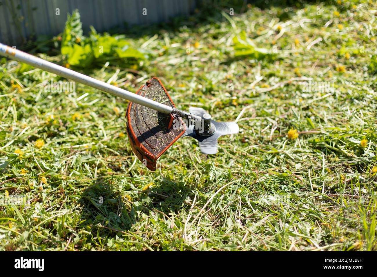 Lawn mower mows grass. Cutting lawn. Details of gasoline mower Stock ...