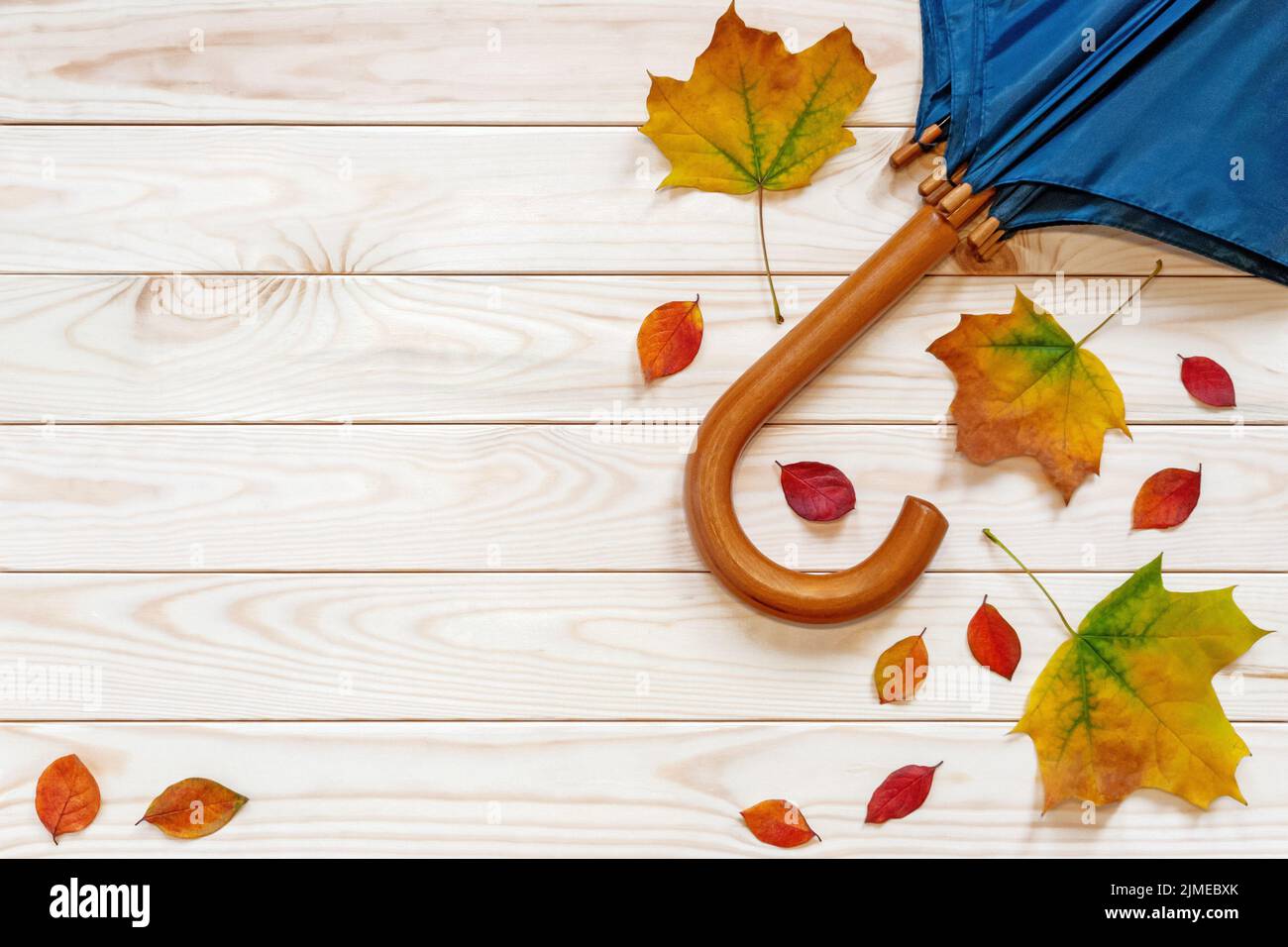 Fall flat lay with leaves and umbrella on wood background Stock Photo ...