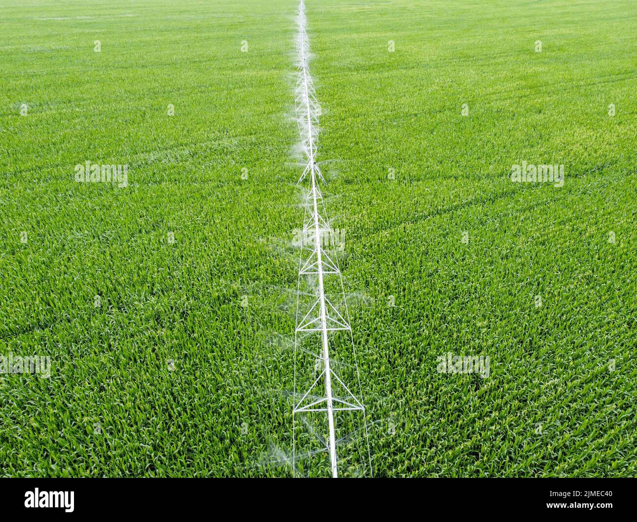 Irrigation system over corn field, top view Stock Photo - Alamy