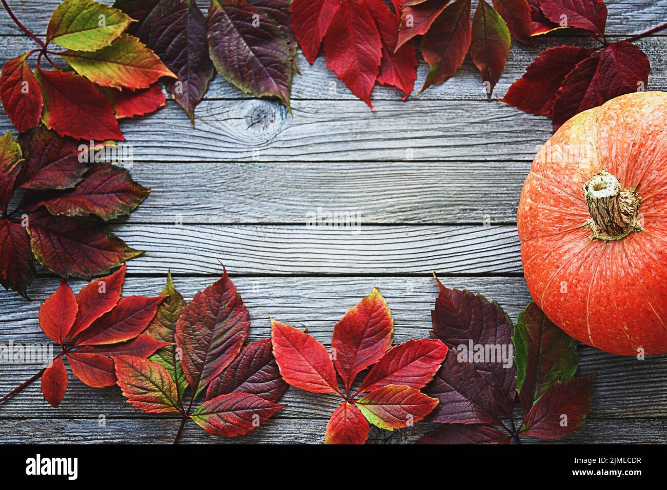 Wooden layout hi-res stock photography and images - Alamy