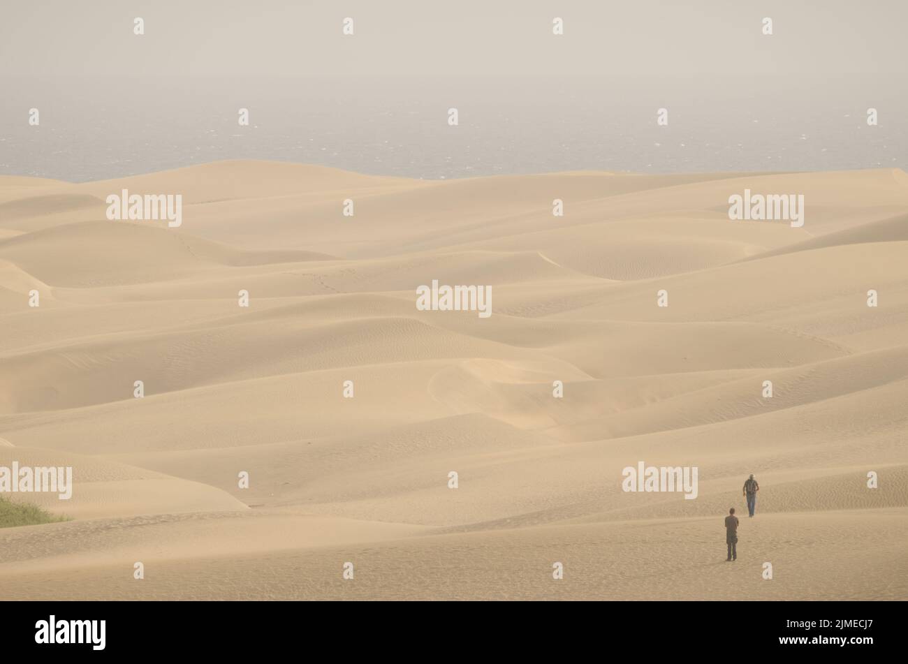 Two men walking in the Maspalomas Dunes. Natural Reserve of the ... Two men walking in the Maspalomas Dunes. Natural Reserve of the ...