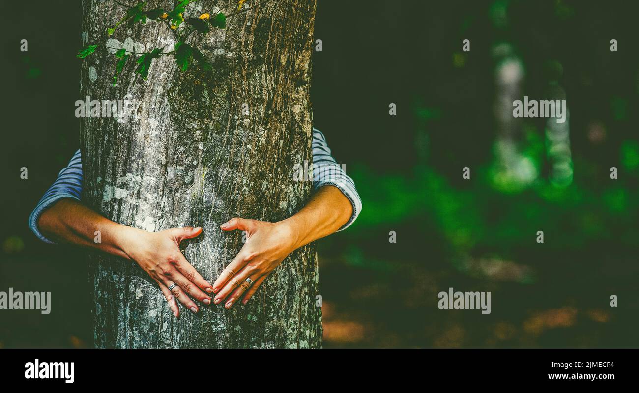 Woman hand embracing a tree in the forest - nature loving, fight global ...