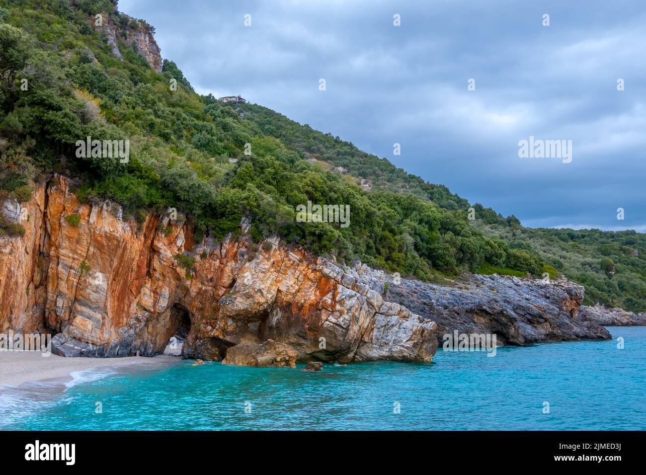Seaside forest hi-res stock photography and images - Alamy