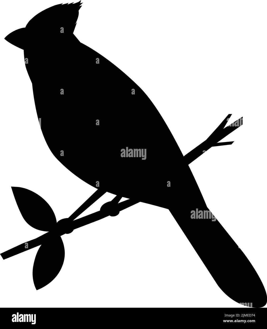 Red Cardinal silhouette perched on a twig Stock Vector Image & Art - Alamy