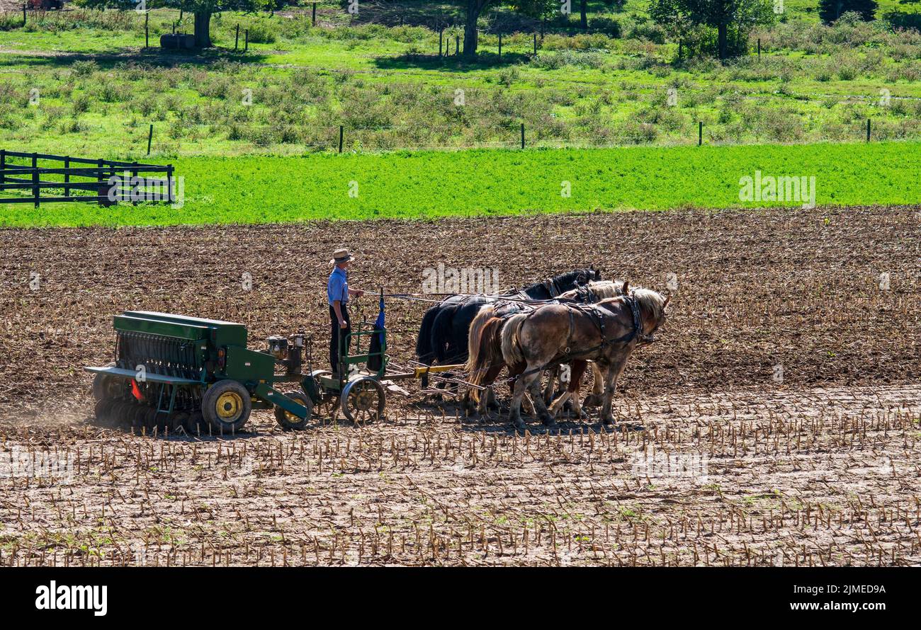 Amish farmers farm people hi-res stock photography and images - Alamy