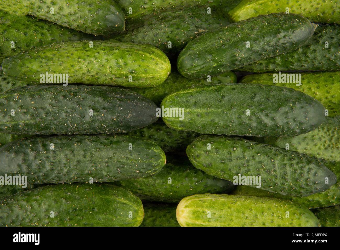 Texture of ground cucumbers - top view and close-up on a pile of green ...