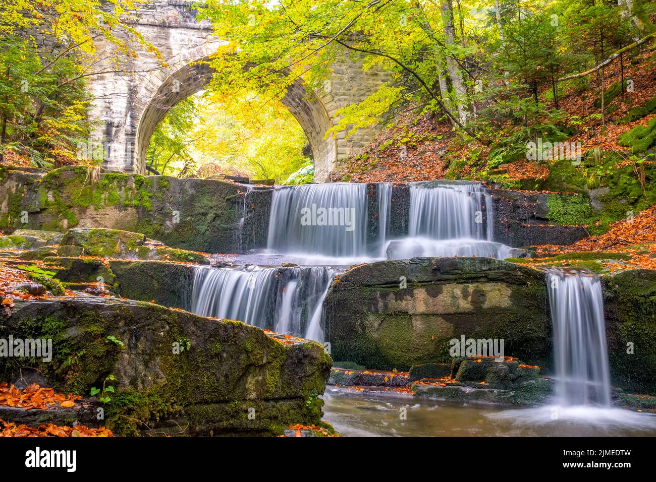 Old Stone Bridge and Forest Waterfall Stock Photo - Alamy