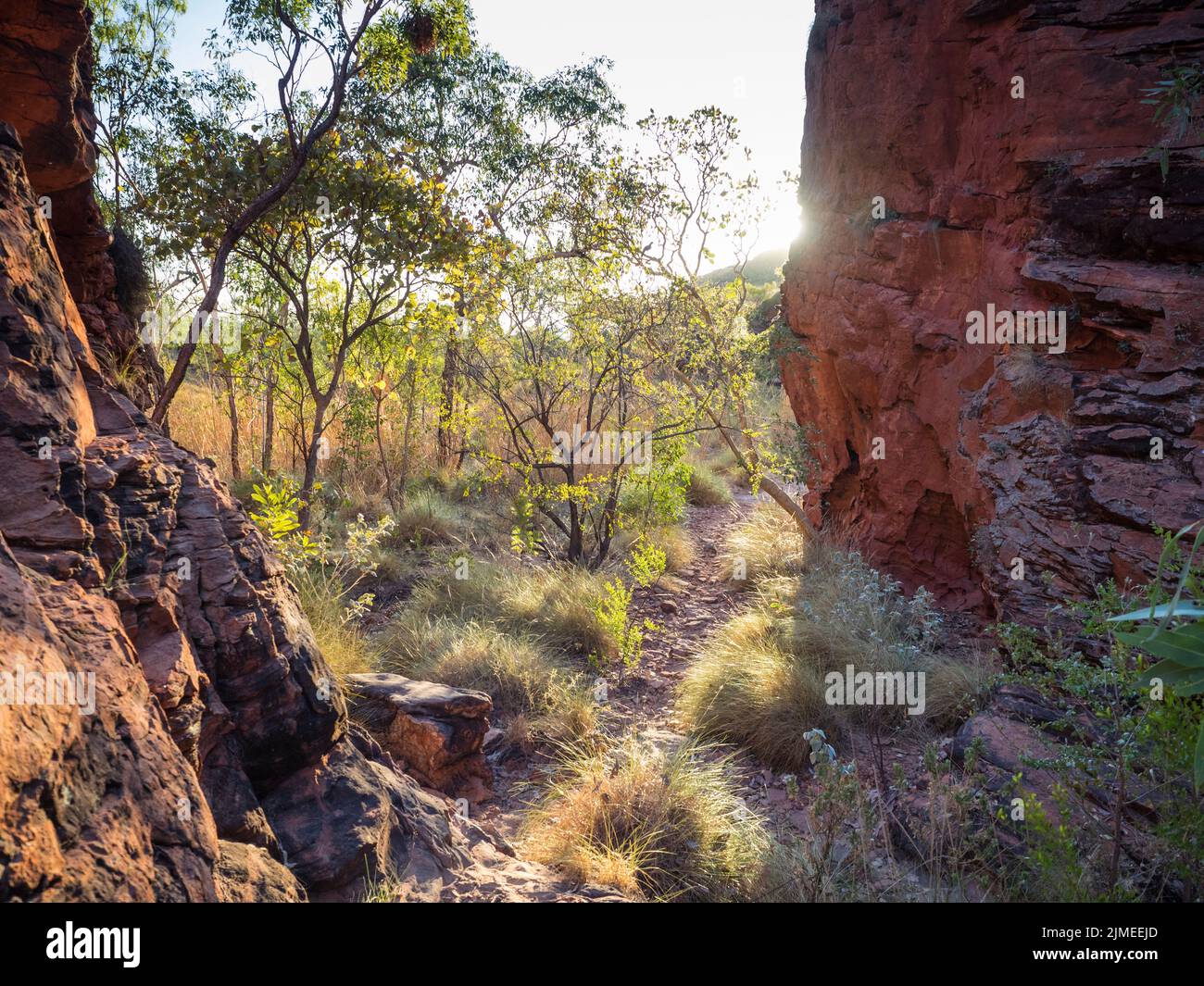 Path leading through a gap in the quartz sandstone and congolmerate ...