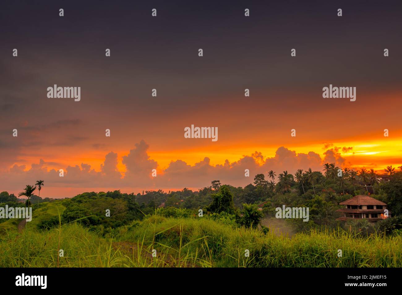 Sunset Clouds over Rainforest Stock Photo - Alamy
