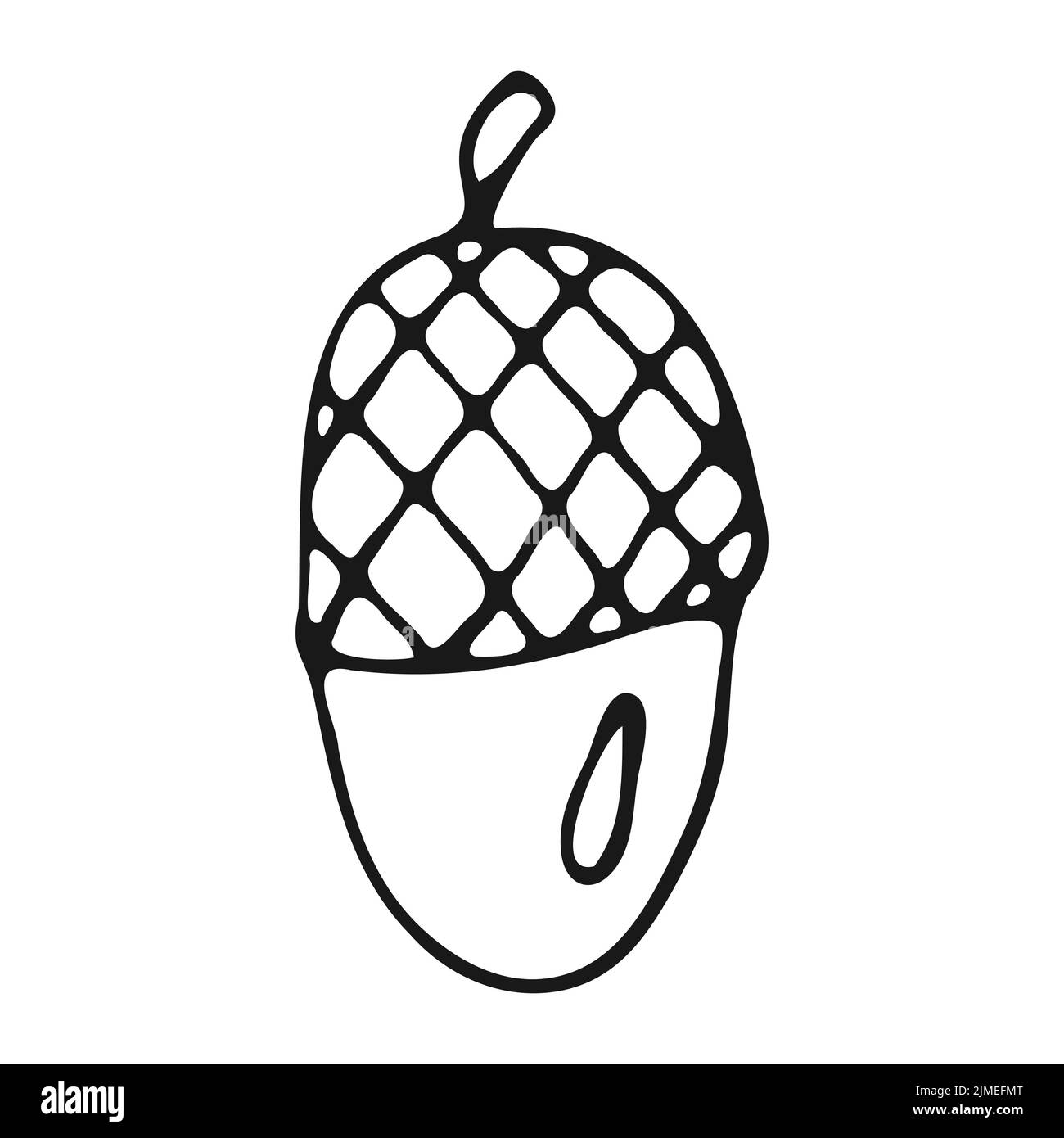 Hand drawn acorn in doodle style isolated on white background. Autumn ...