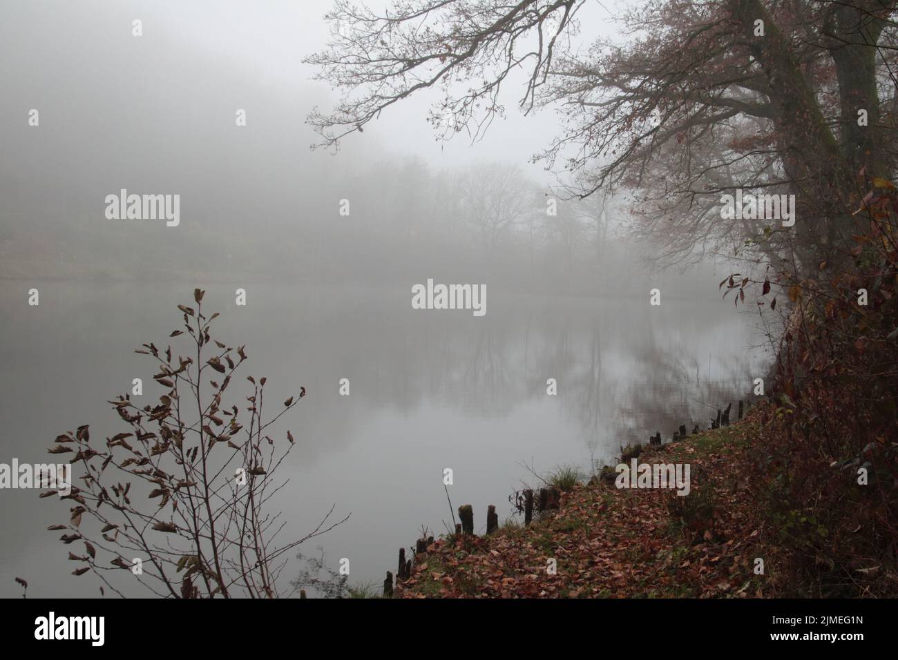 Fog pond hi-res stock photography and images - Alamy