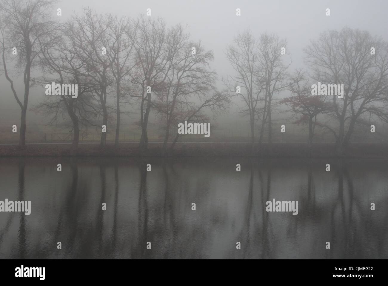 Fog pond hi-res stock photography and images - Alamy