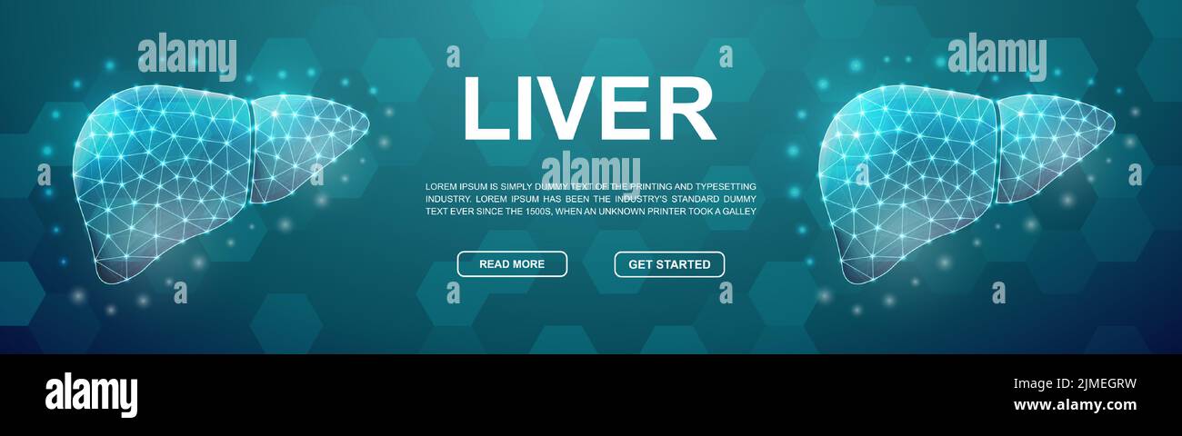 Liver polygonal symbol for promotion banner. Horizontal low poly poster ...