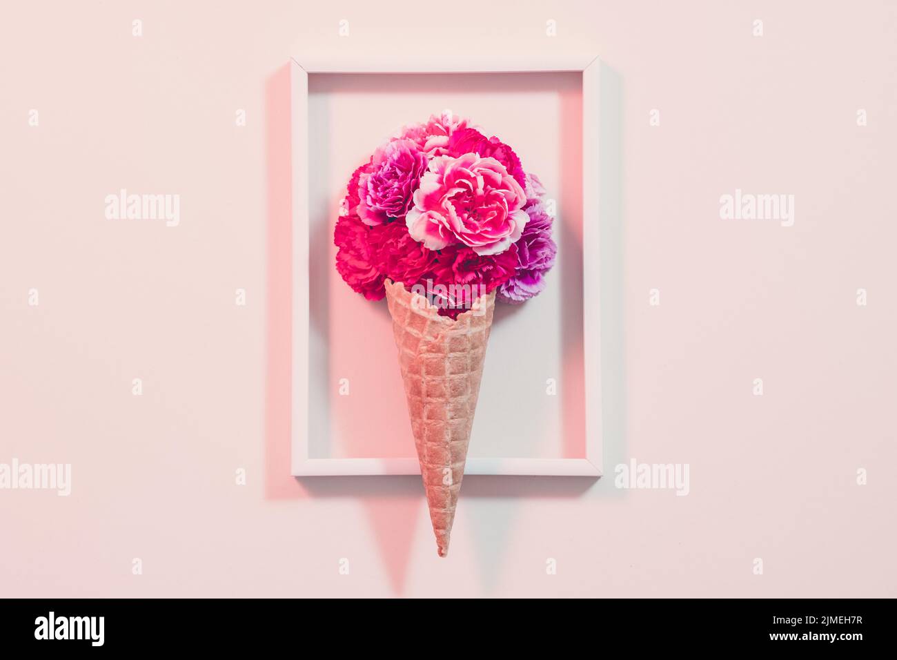 conceptual gift pink carnation cream cone frame Stock Photo - Alamy