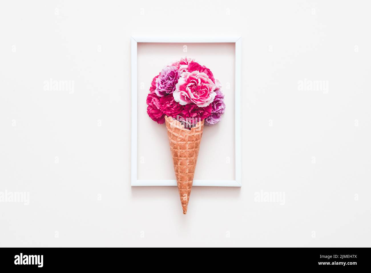 conceptual art fresh flower carnation cone frame Stock Photo - Alamy