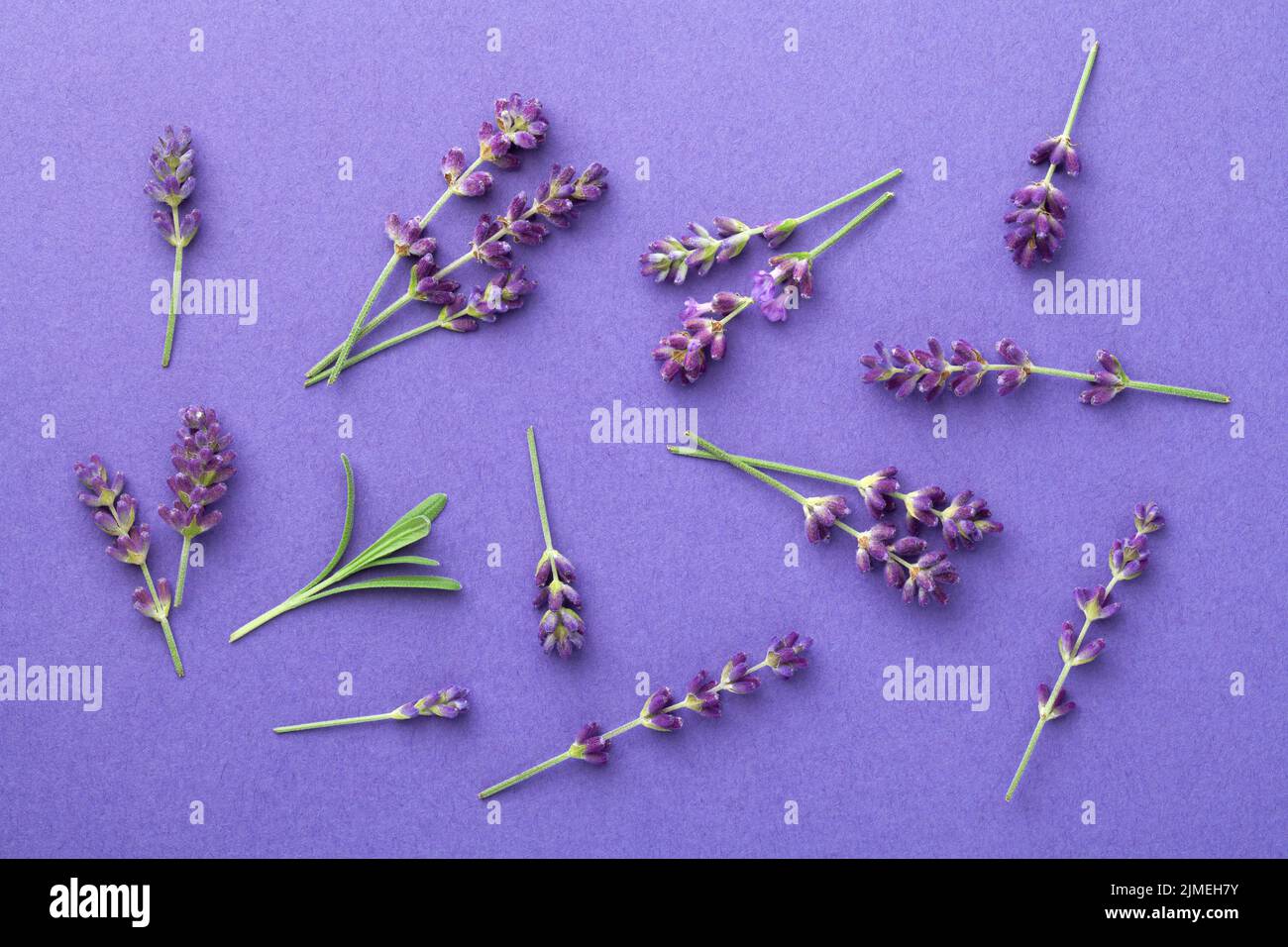 Flat lay flowers on hi-res stock photography and images - Alamy