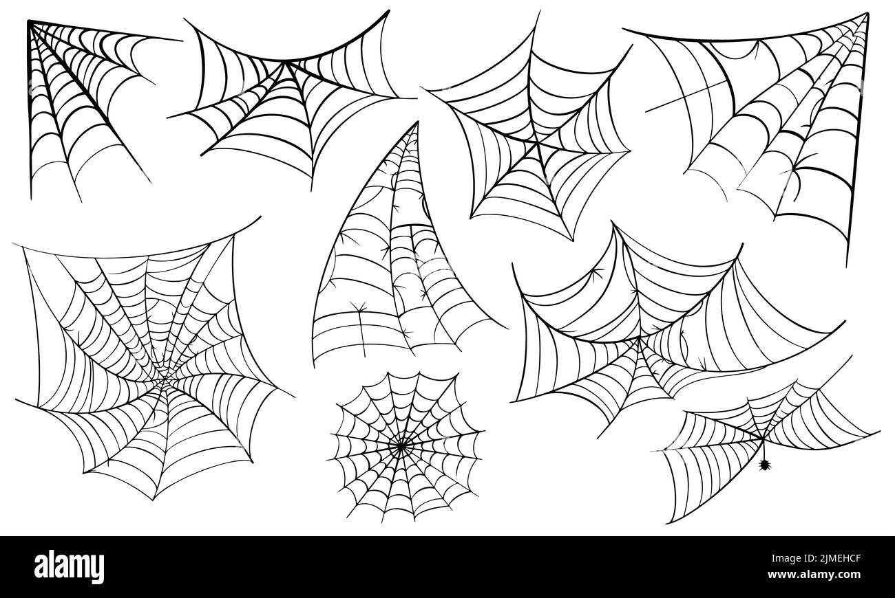 Vector Set of spider web and halloween cobweb decoration Stock Vector ...