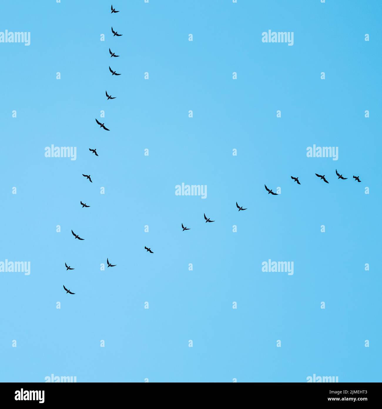 Flying wedge hi-res stock photography and images - Alamy