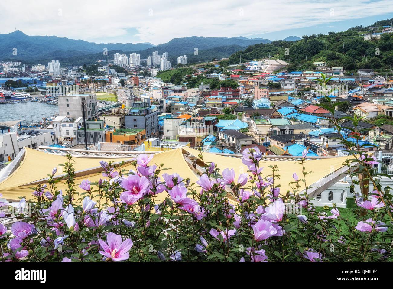 Donghae city hi-res stock photography and images - Alamy