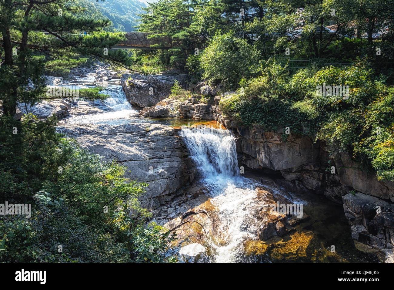 Vast valley view trees hi-res stock photography and images - Alamy