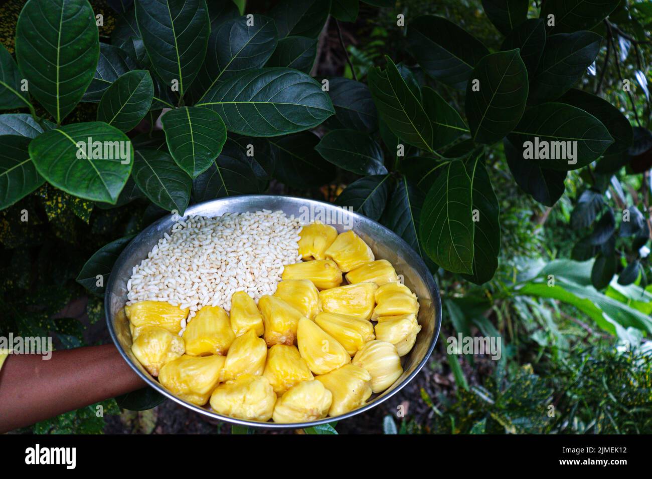 tasty and healthy jackfruit cloves with leaf and puffed rice on plate ...