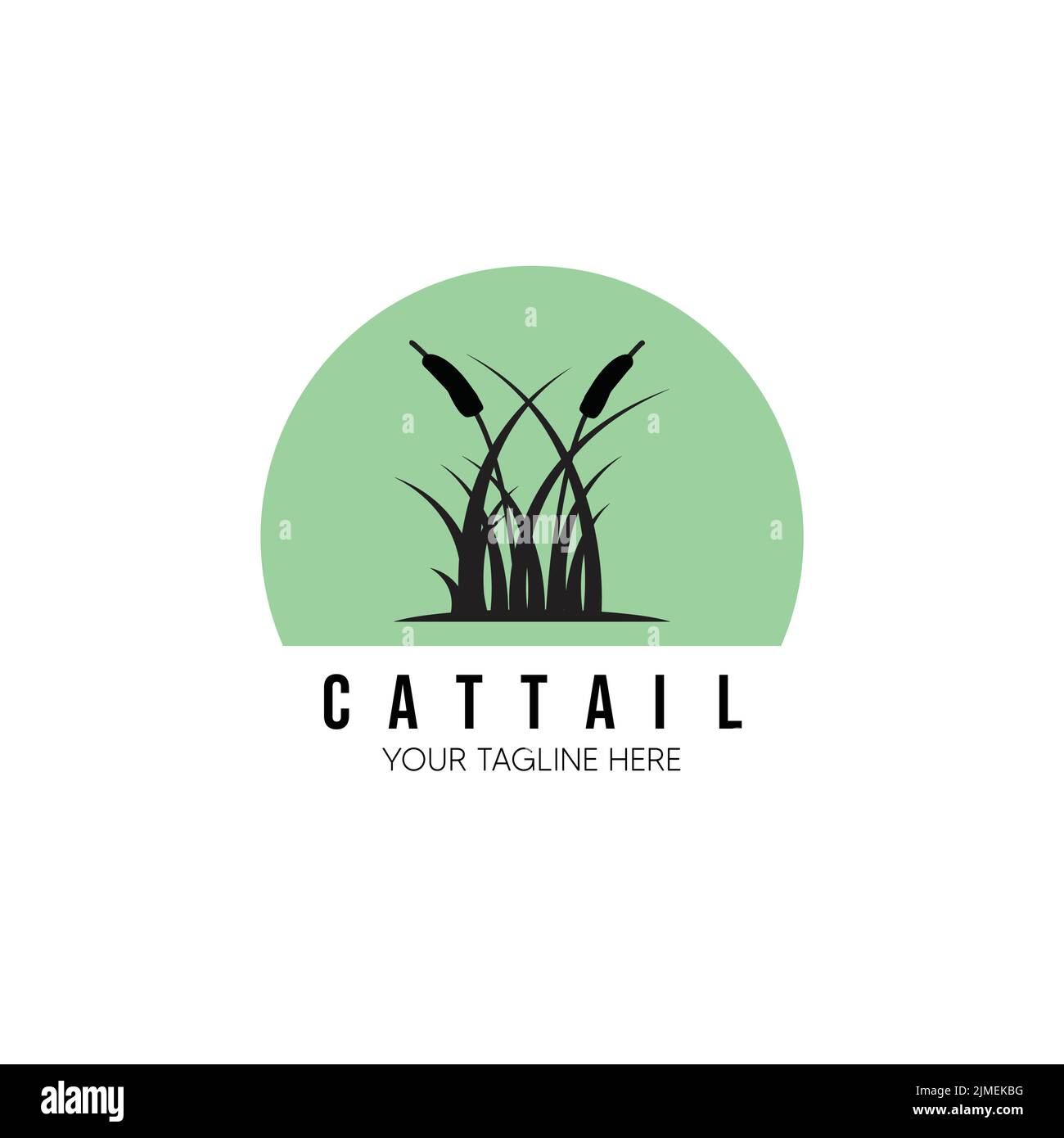 Cattail icon hi-res stock photography and images - Alamy