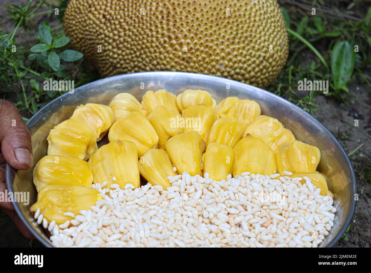 tasty and healthy jackfruit cloves with puffed rice on plate Stock ...