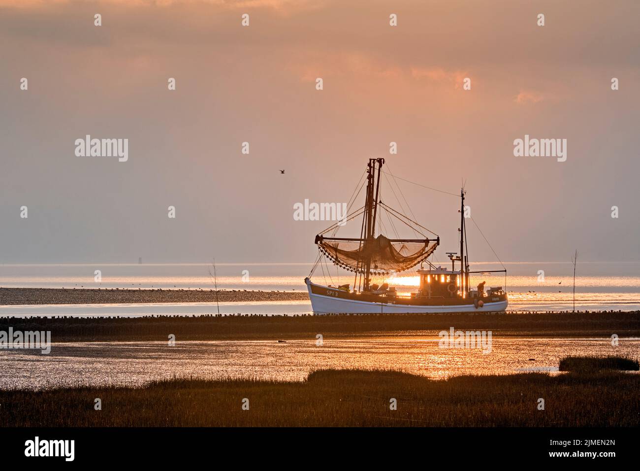 Cutter on north sea hi-res stock photography and images - Alamy