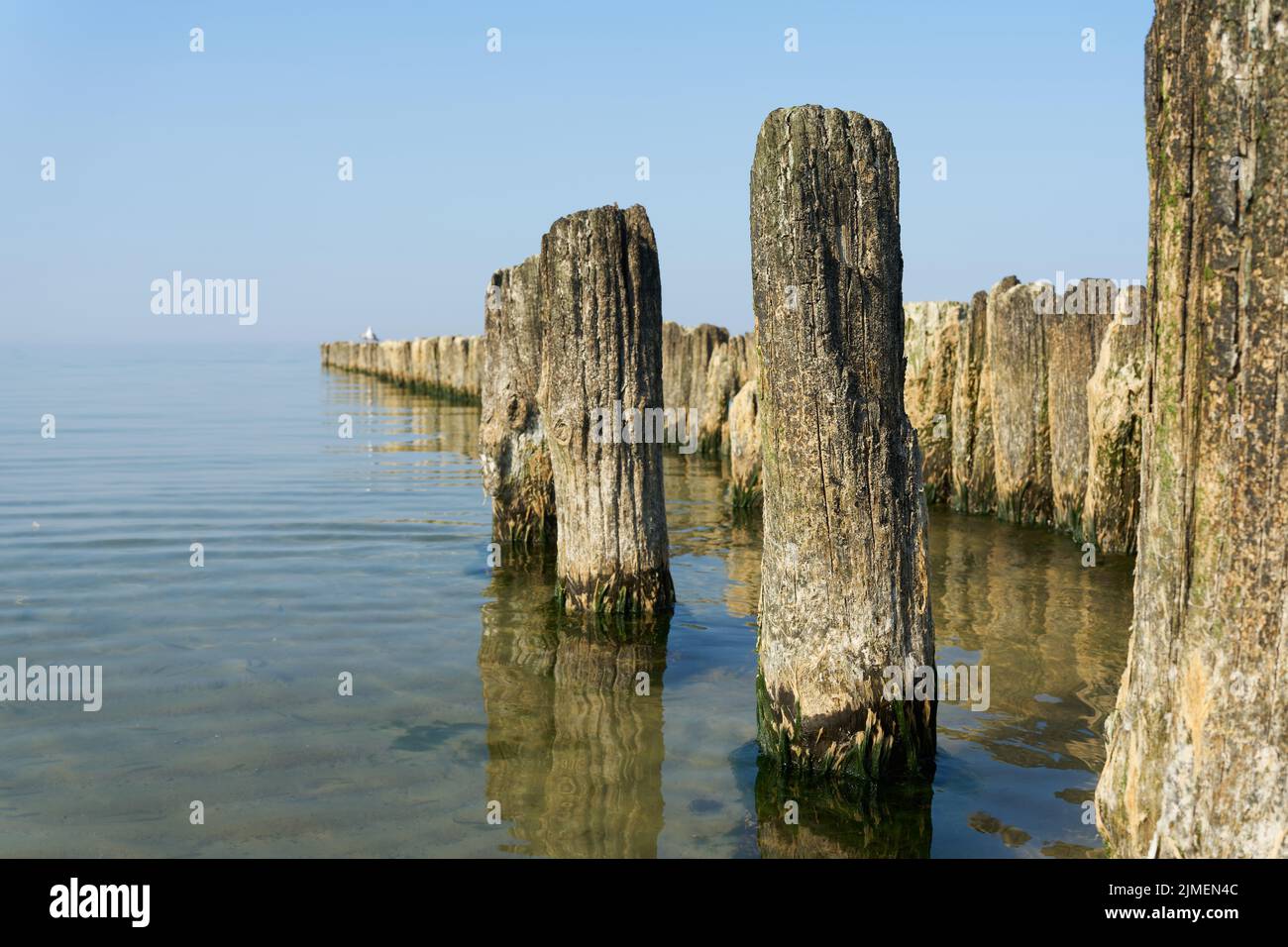 Breakwater on the beach of Kolobrzeg on the Polish Baltic coast Stock ...