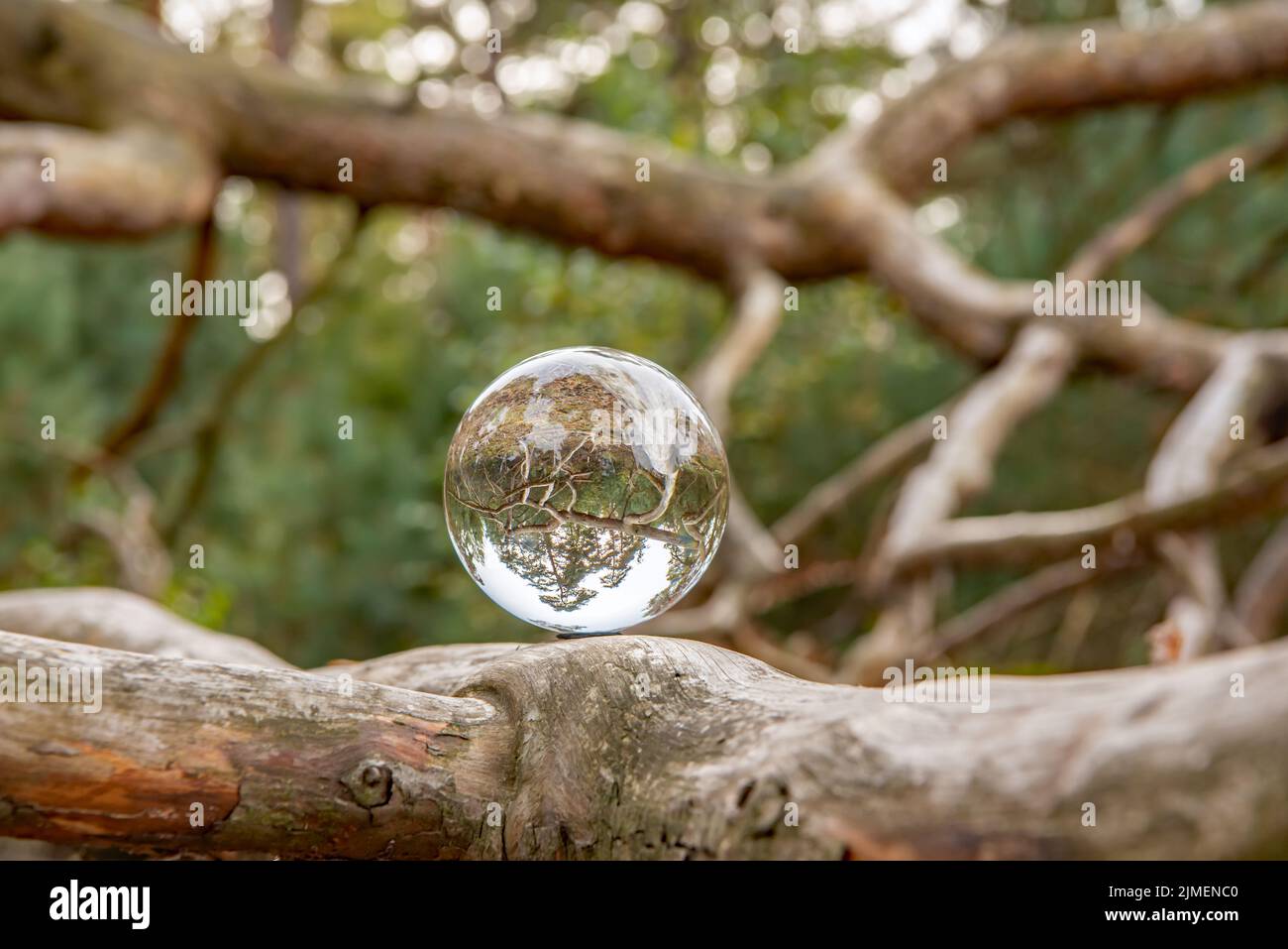 Full lens hi-res stock photography and images - Alamy