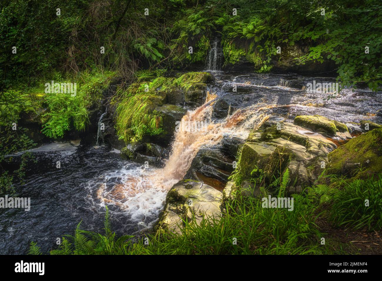 Irish woodland waterfall hi-res stock photography and images - Alamy