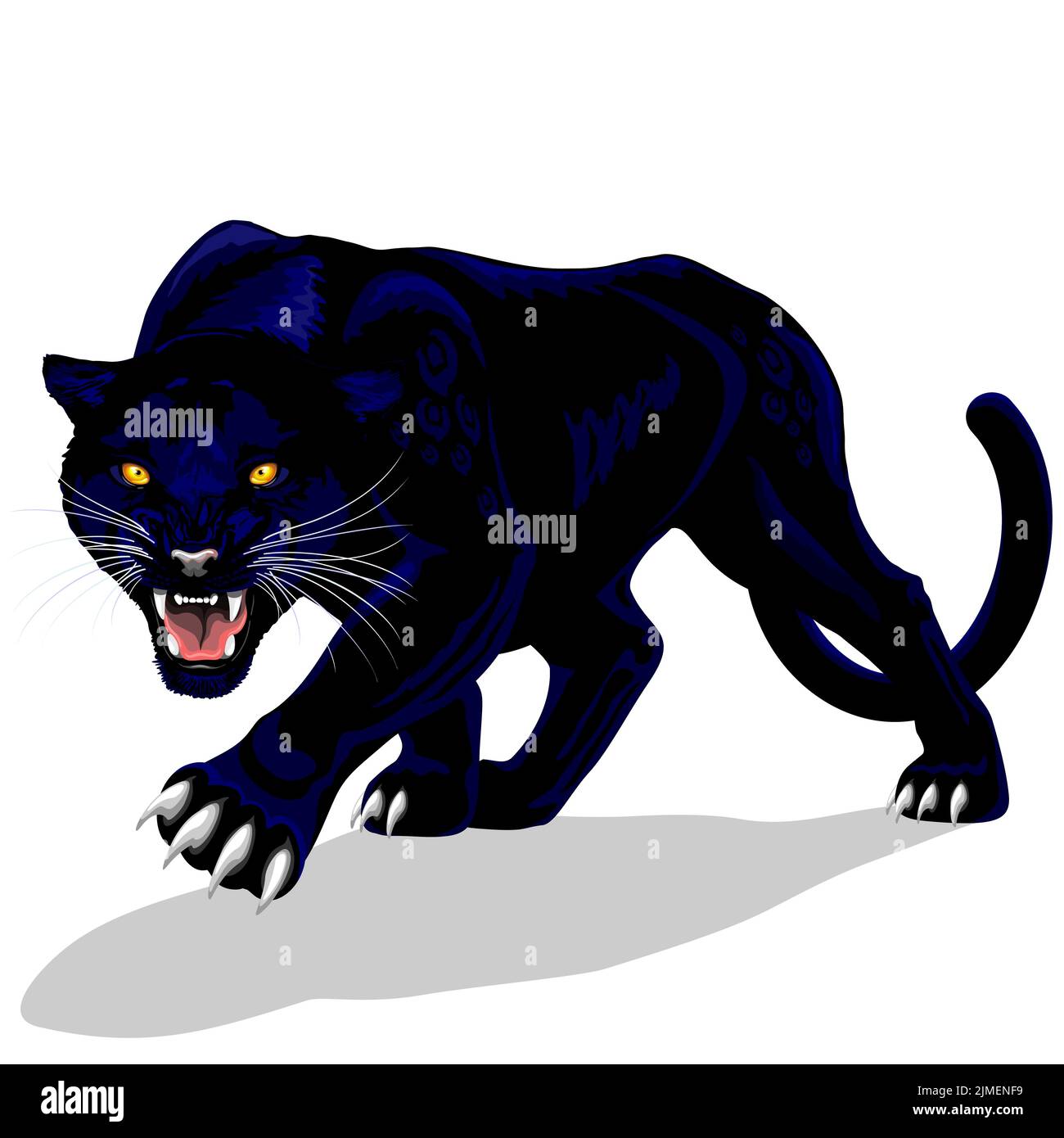 A vector of a black Panther on a white background Stock Vector Image ...