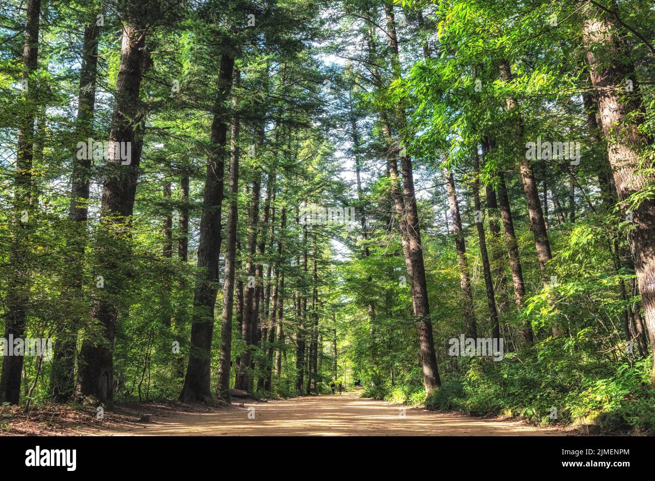 Woljeong temple hi-res stock photography and images - Alamy
