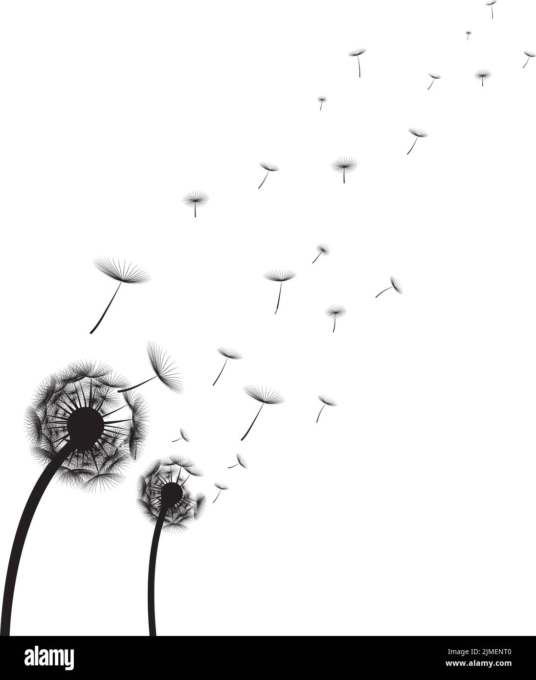 A vector illustration of blowing dandelions Stock Vector Image & Art ...