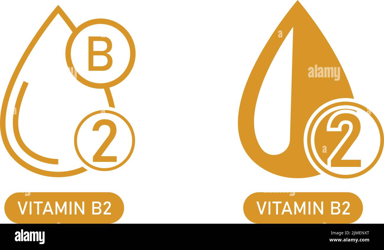 vitamin b2 supplement drop icon vector illustration Stock Vector Image ...