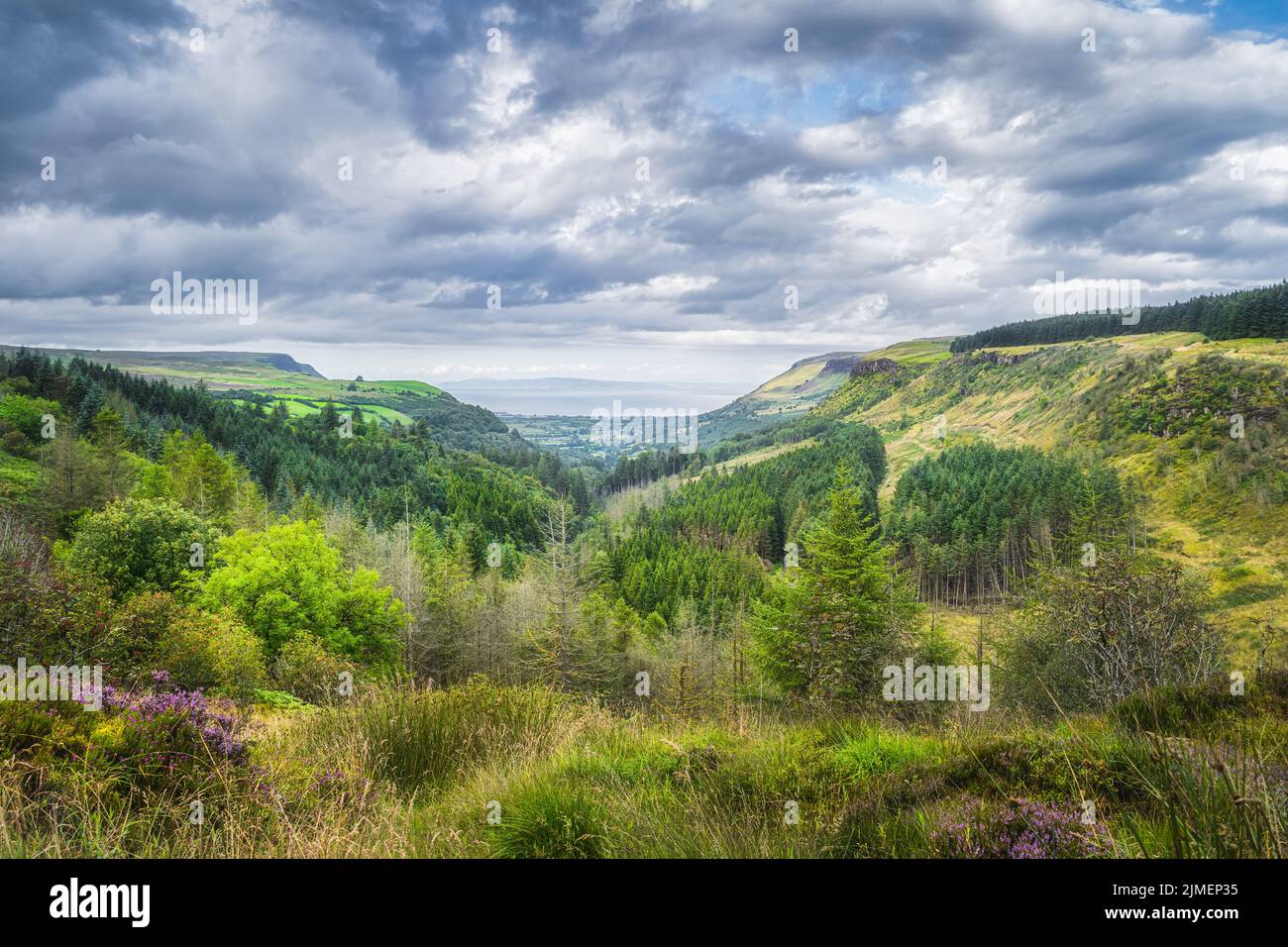 Beautiful green valley with forests and fields, Glenariff Forest Park ...