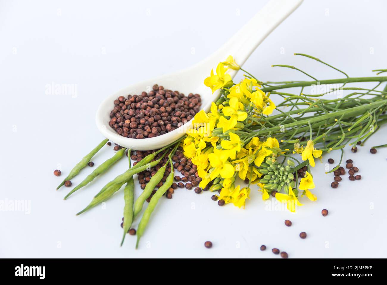 Rapeseed seeds and flowers on white background Stock Photo - Alamy