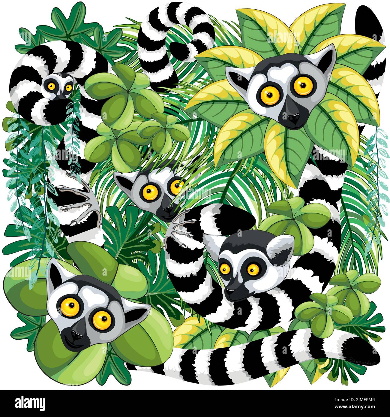 A Vector design of Lemurs of Madagascar in Rainforest with green leaves ...