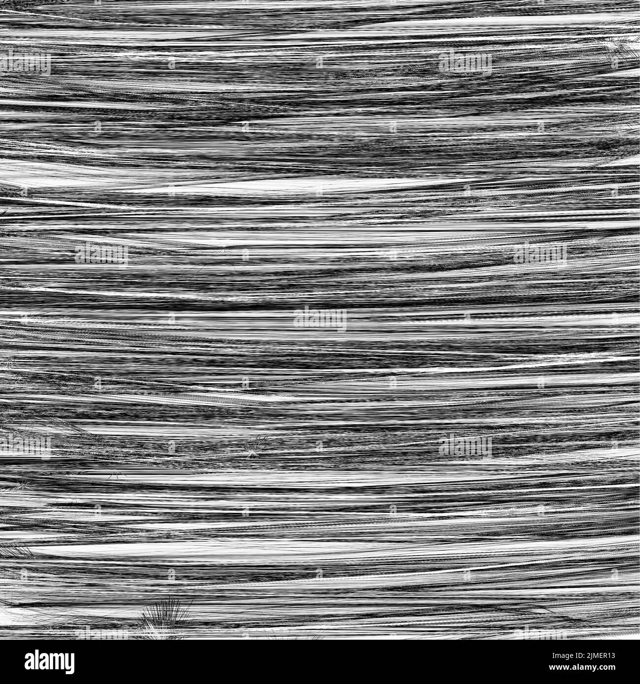 Development of software Black and White Stock Photos & Images - Alamy