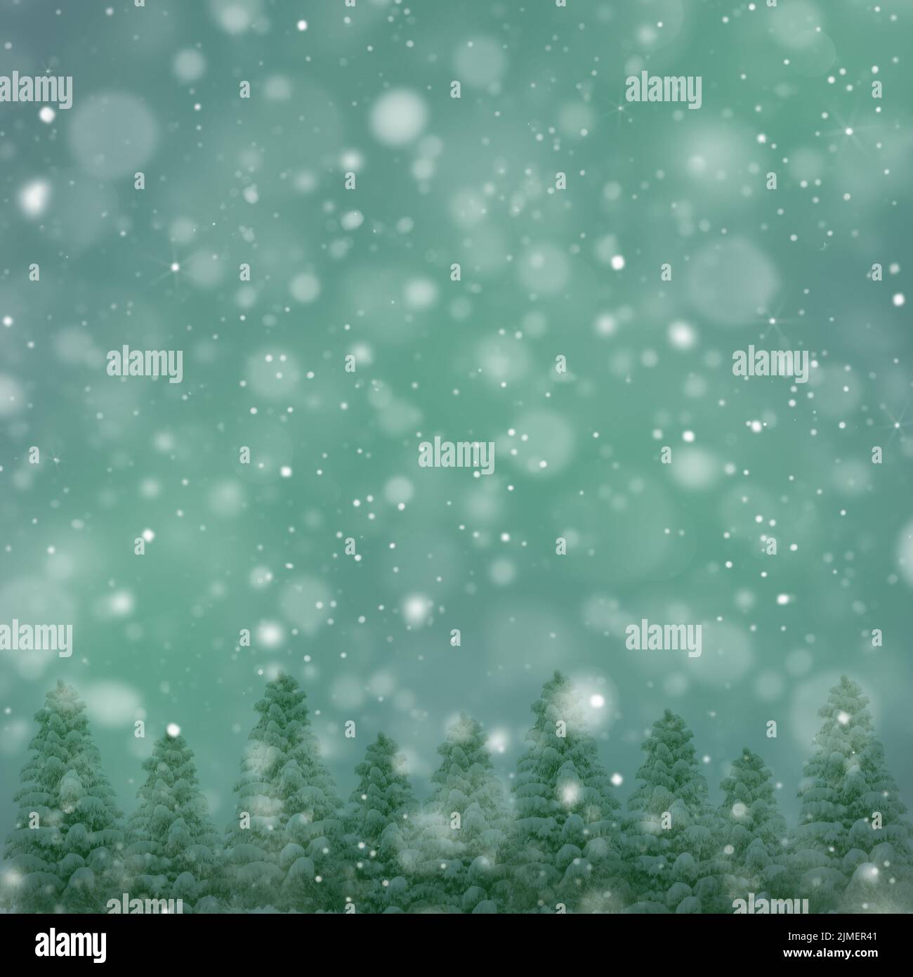 Shiny fir trees hi-res stock photography and images - Alamy