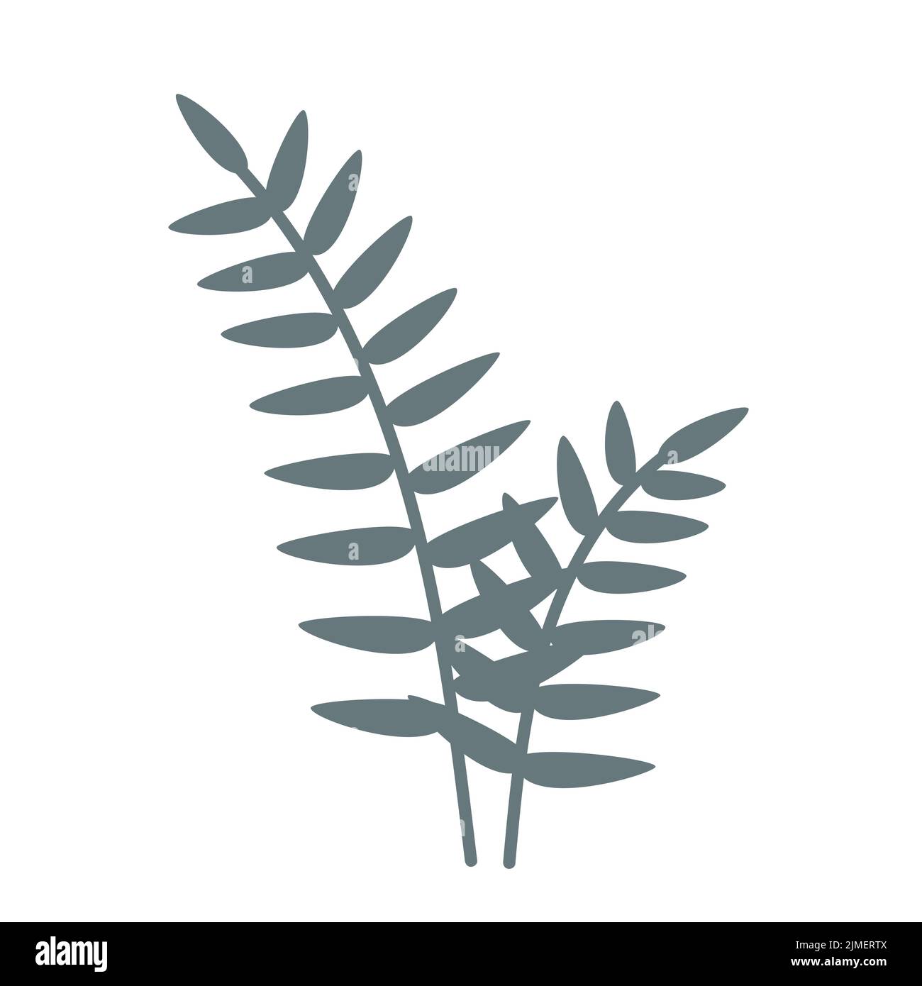 Young fern Stock Vector Images - Alamy