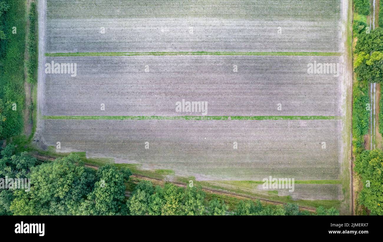 Beautiful natural Patterns of Farmfields in Countryside at Summer ...