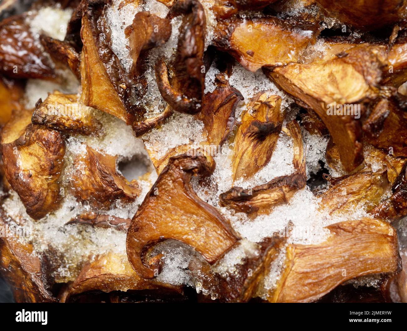 Ice mushrooms hi-res stock photography and images - Alamy