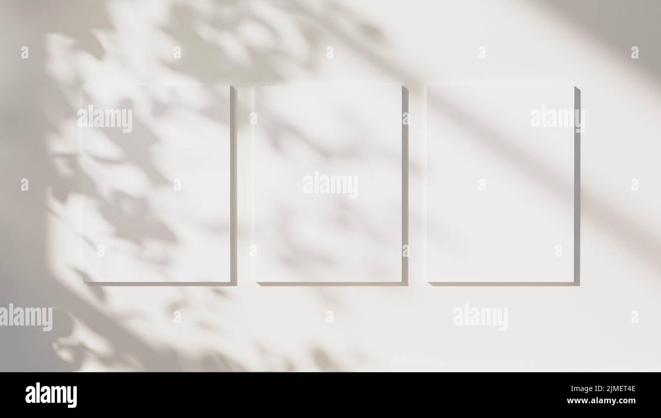 Empty posters mock up with leaves shadows and sunlight on neutral white ...