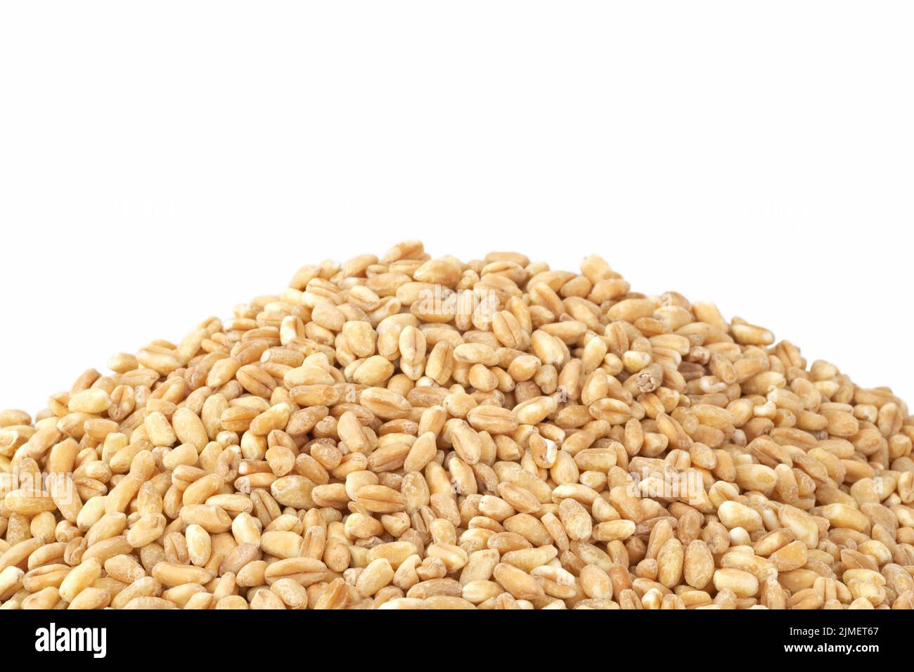heap of wheat grains isolated on white background Stock Photo - Alamy