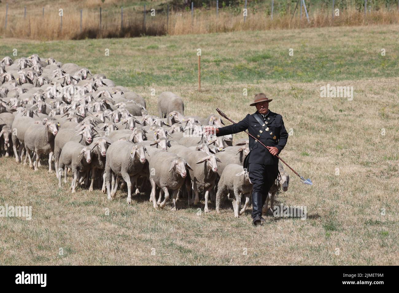 Hohenfelden, Germany. 06th Aug, 2022. Shepherd Herbert Kind from ...