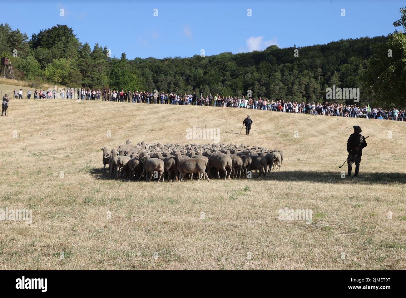 Hohenfelden, Germany. 06th Aug, 2022. Shepherd Andre Bartos from ...