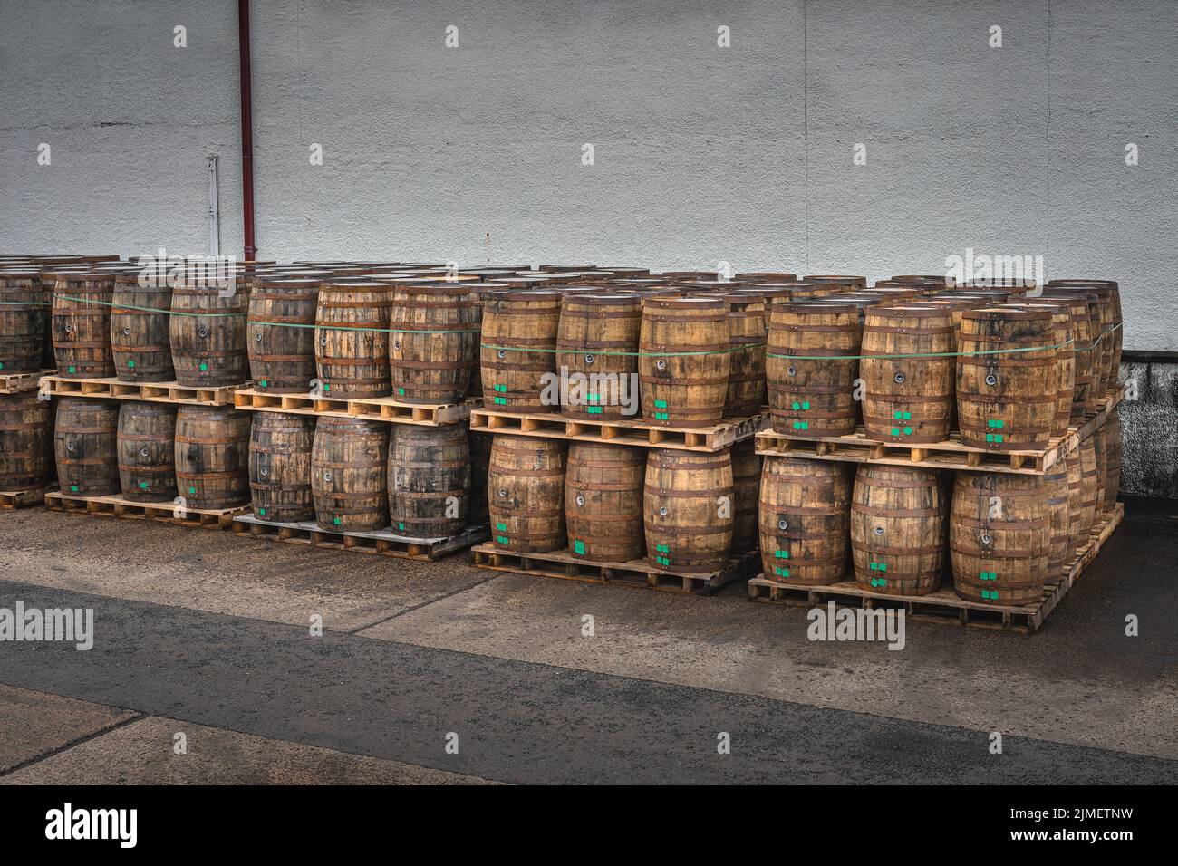 Rows of large wooden barrels on pallets with whiskey or wine ready for ...