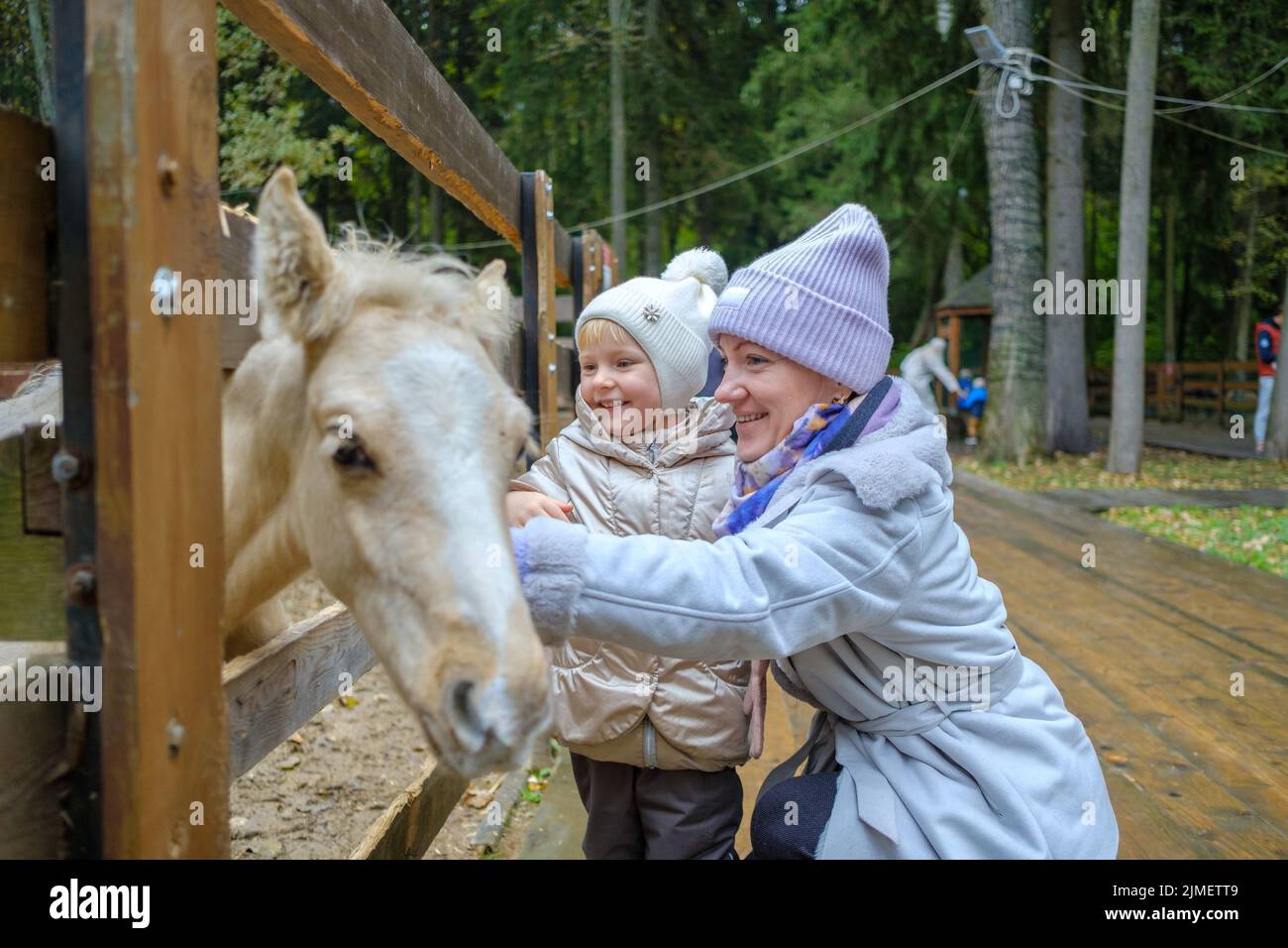 Mom and daughter caress the face of a foal at the petting zoo Stock ...
