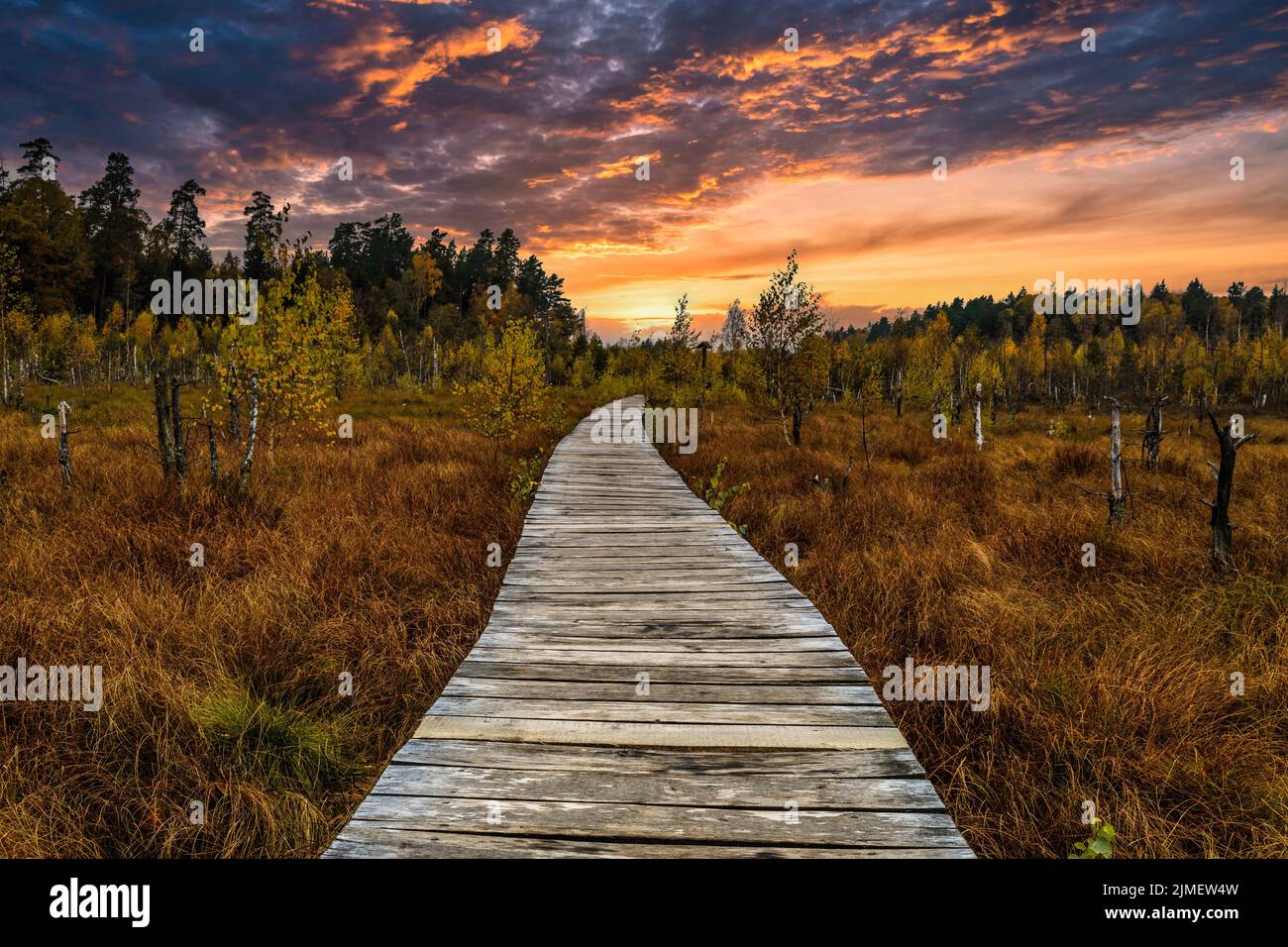 Wooden hike trail path hi-res stock photography and images - Alamy